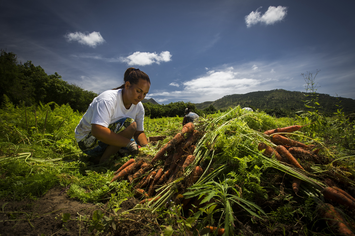 Women at work - The Explorers