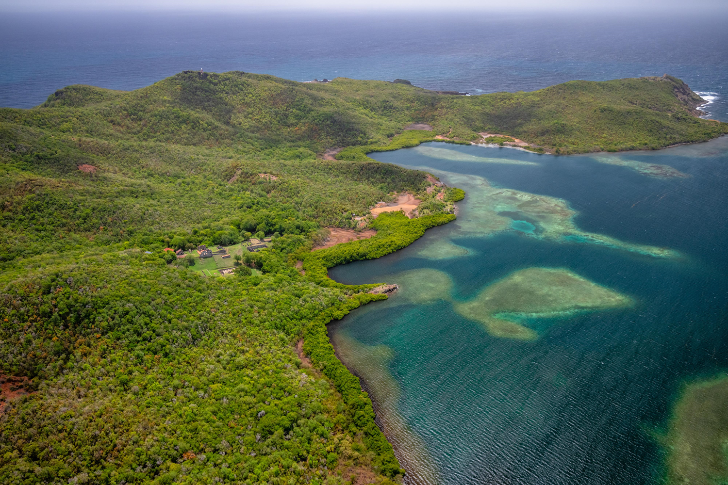 A reserve managed by the Martinique Regional Nature Park - The Explorers