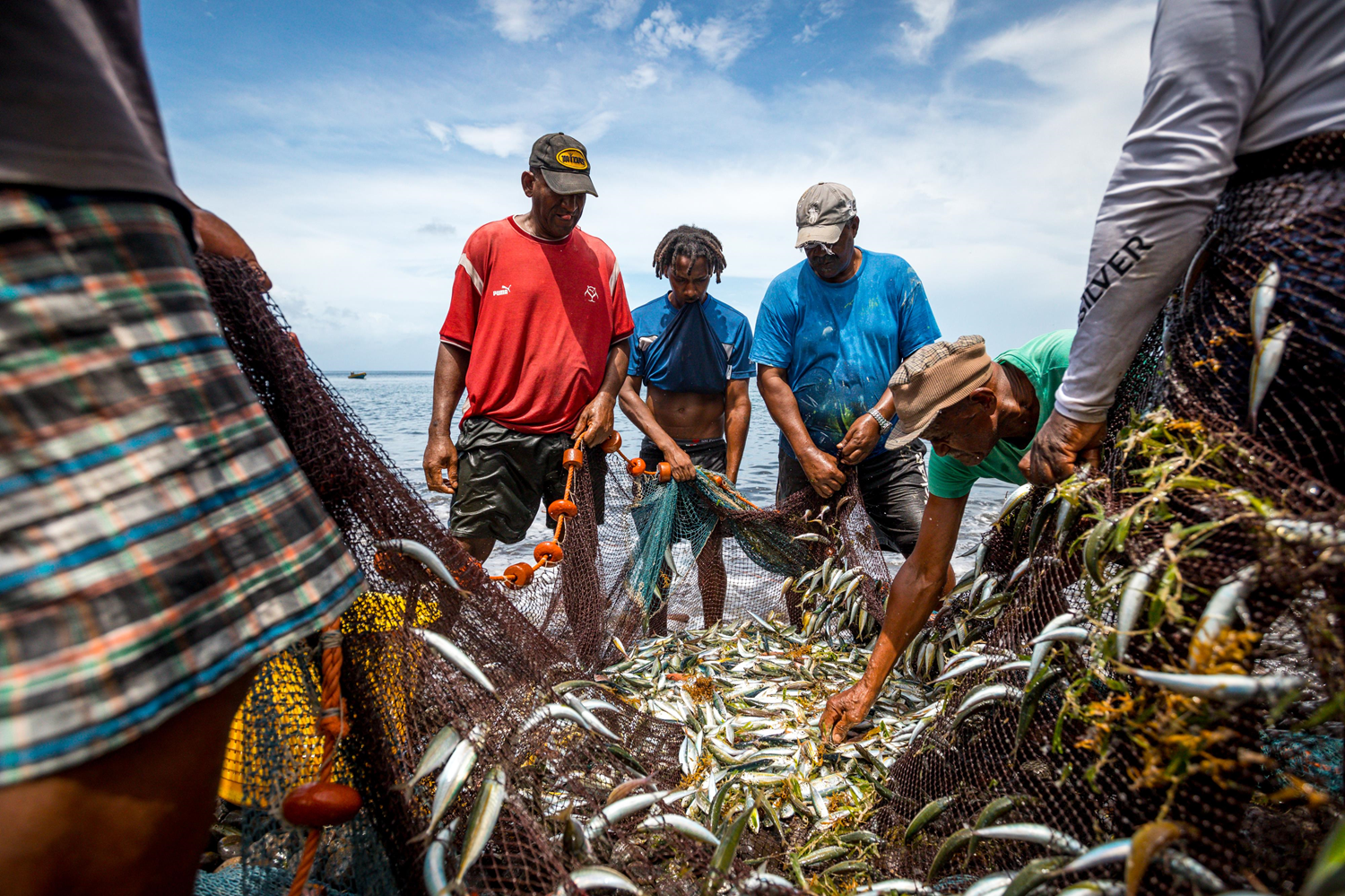 Coastal fishing and pelagic species - The Explorers