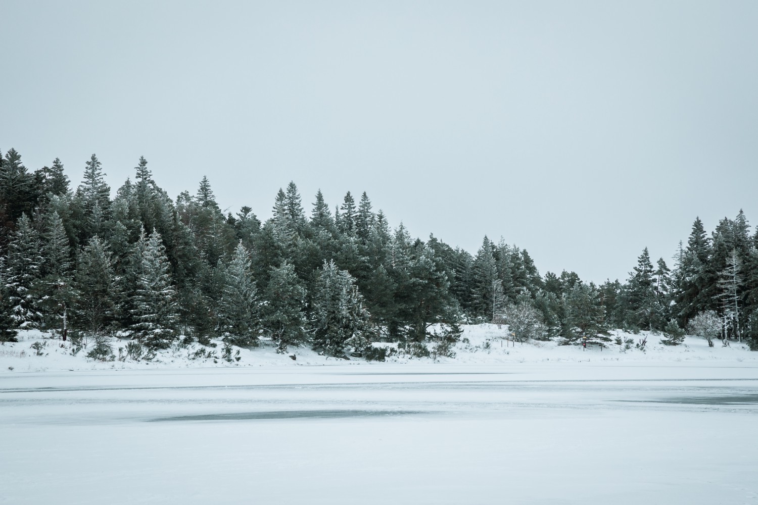 An oligotrophic environment - The Explorers